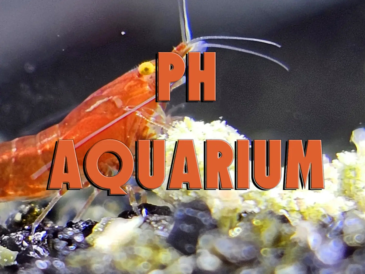pH Aquarium: Comprendre et Maîtriser le pH – Shrimpsfood